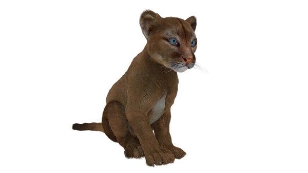 modelo 3d Cachorro de puma sentado con pelaje para Maya - TurboSquid ...