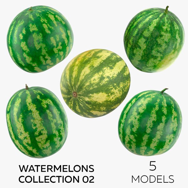 Watermelon 3D Models for Download | TurboSquid