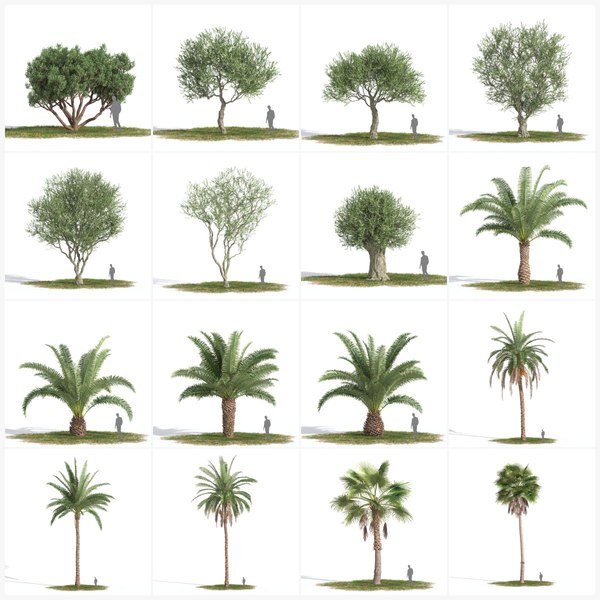 Archmodels vol 269 for c4d 3D 모델 - TurboSquid 2058681