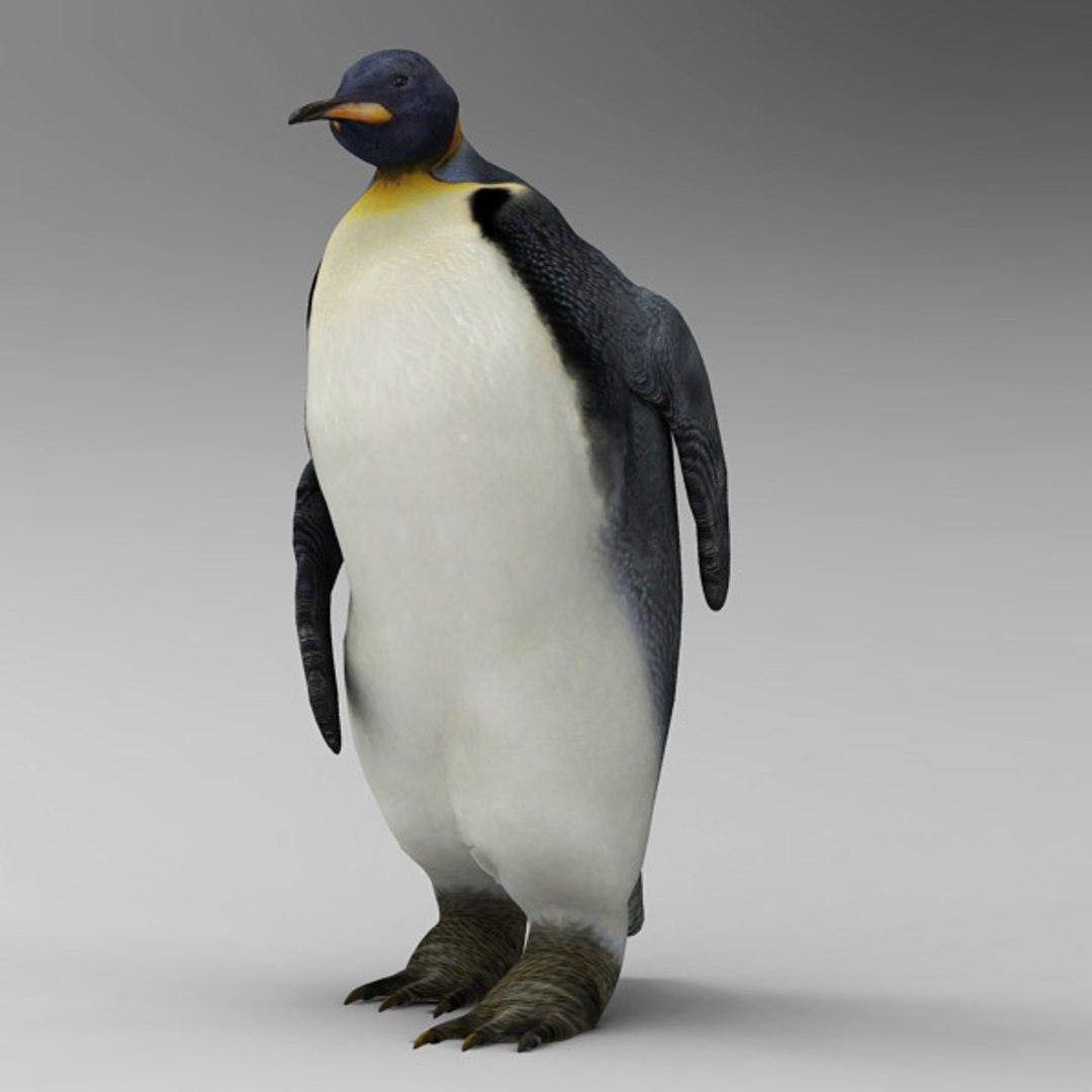 penguin poser pz3