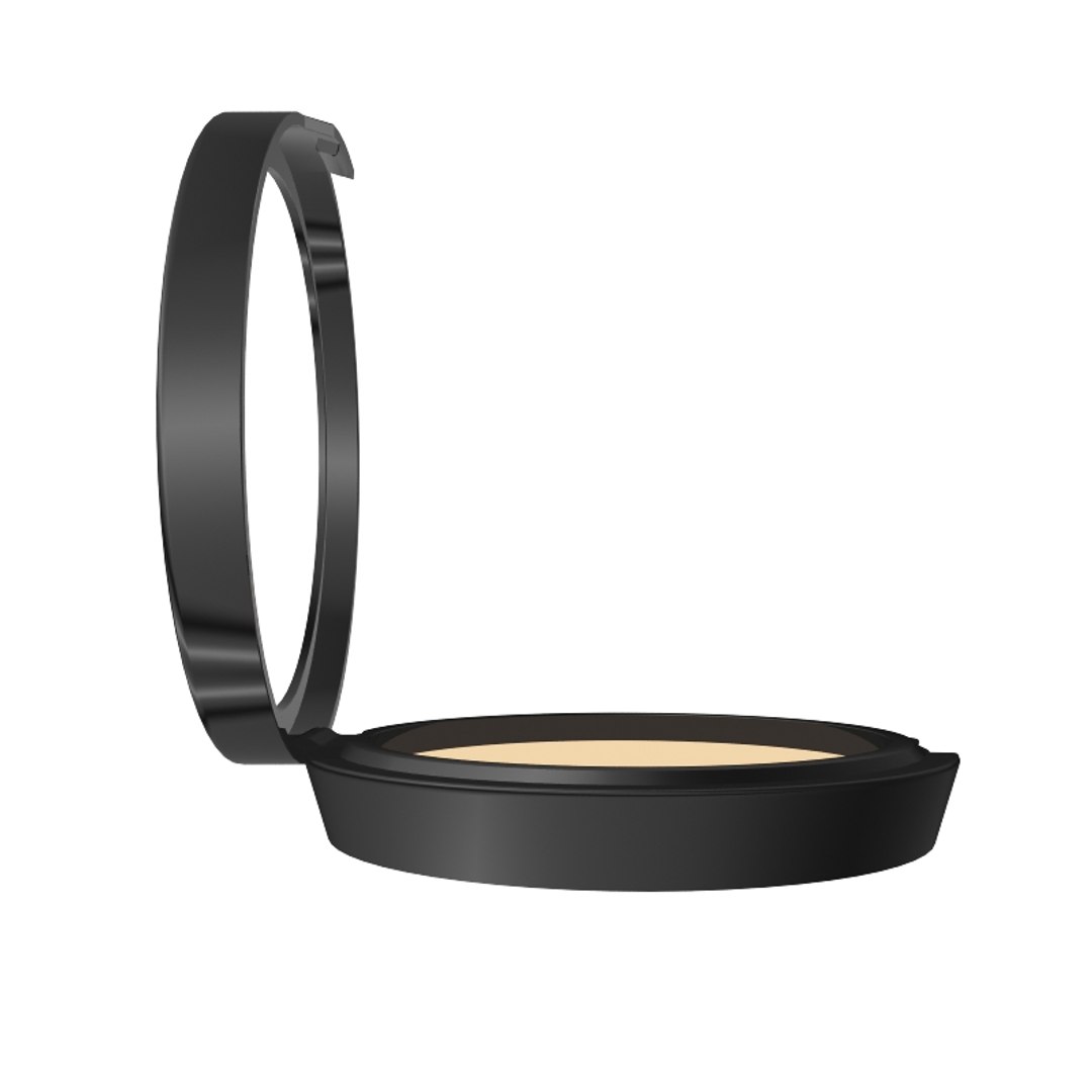 3d Model Compact Powder