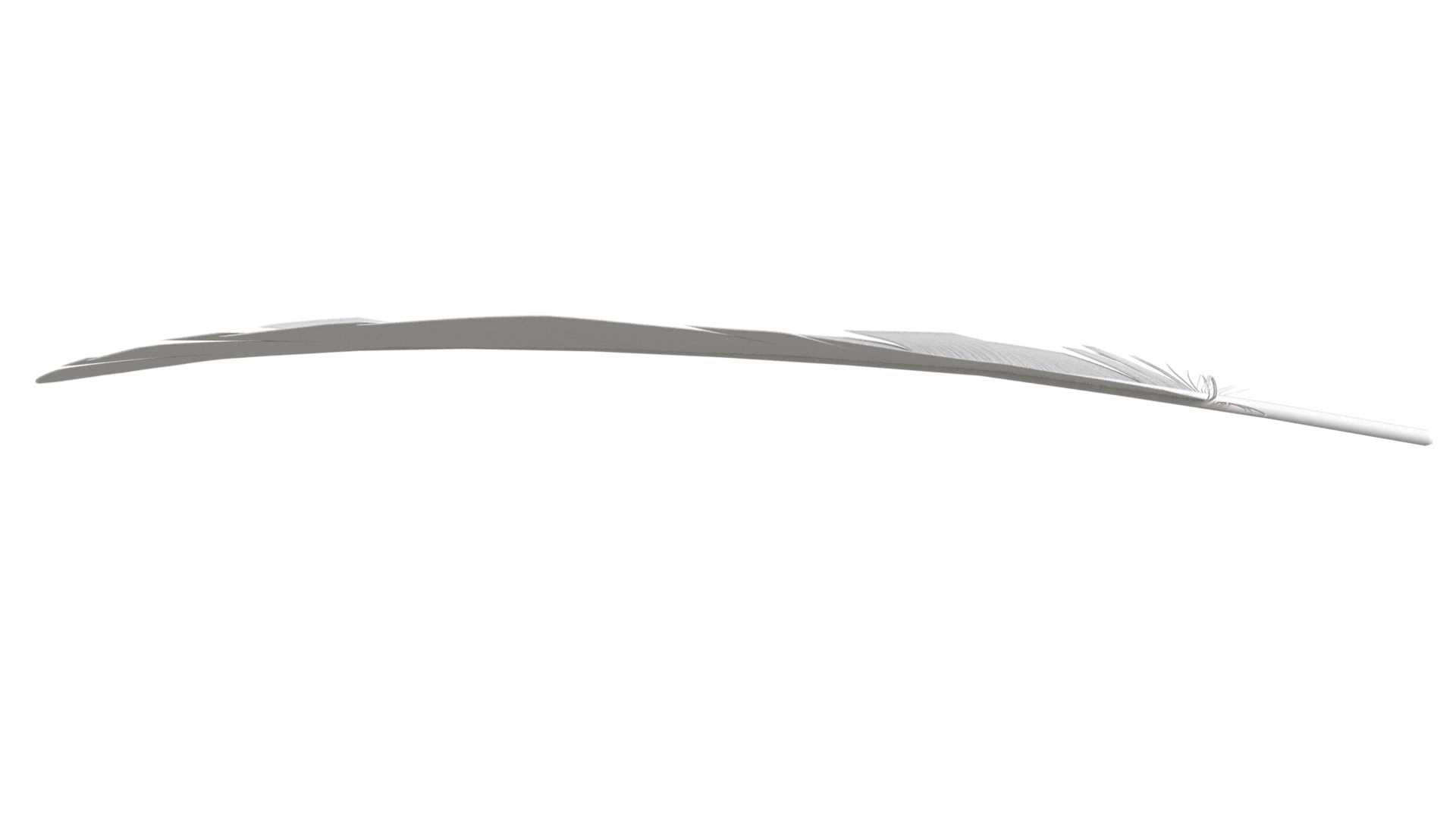 Feather Geometry 3D - TurboSquid 2221550