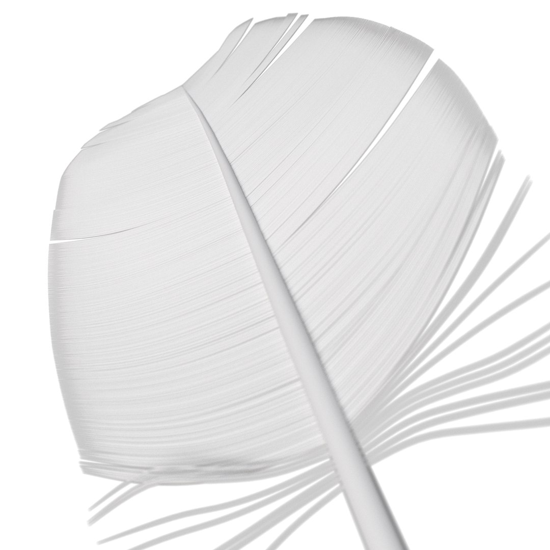 Feather Geometry 3D - TurboSquid 2221550
