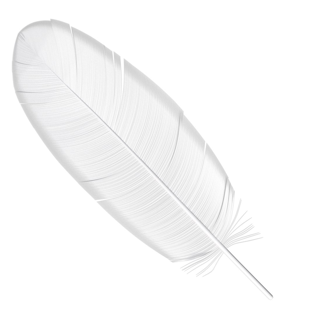 Feather Geometry 3D - TurboSquid 2221550