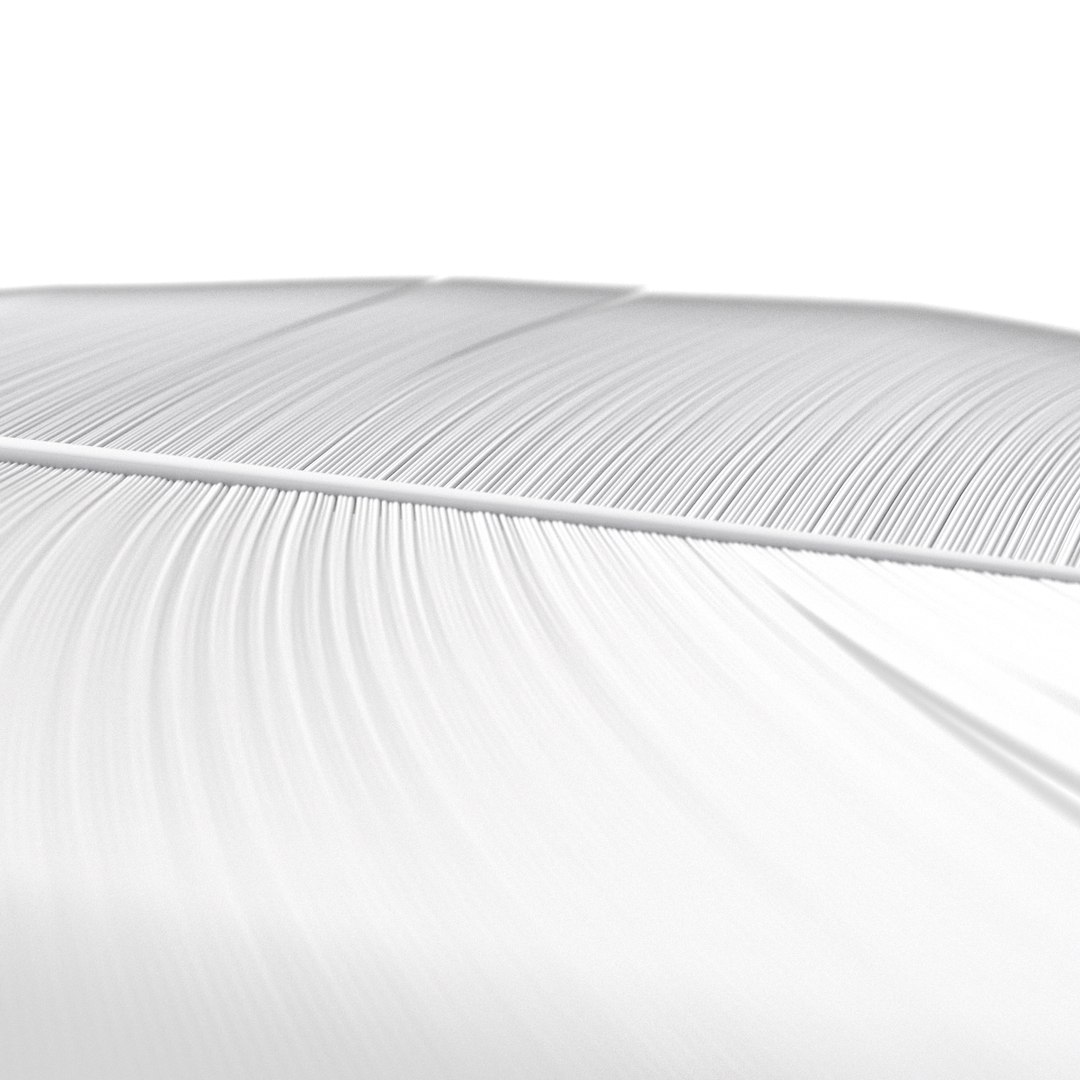 Feather Geometry 3D - TurboSquid 2221550
