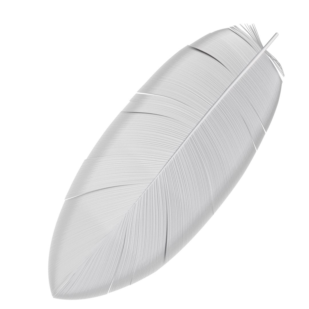 Feather Geometry 3D - TurboSquid 2221550