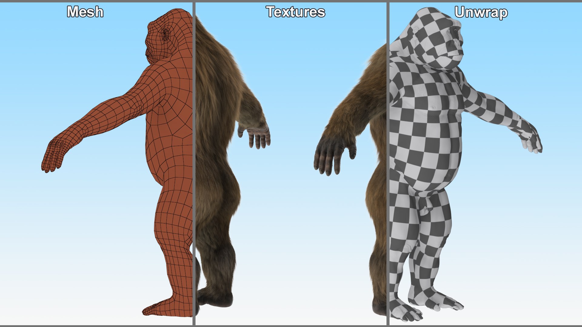 3D Gigantopithecus Fur Rigged Model - TurboSquid 2311874