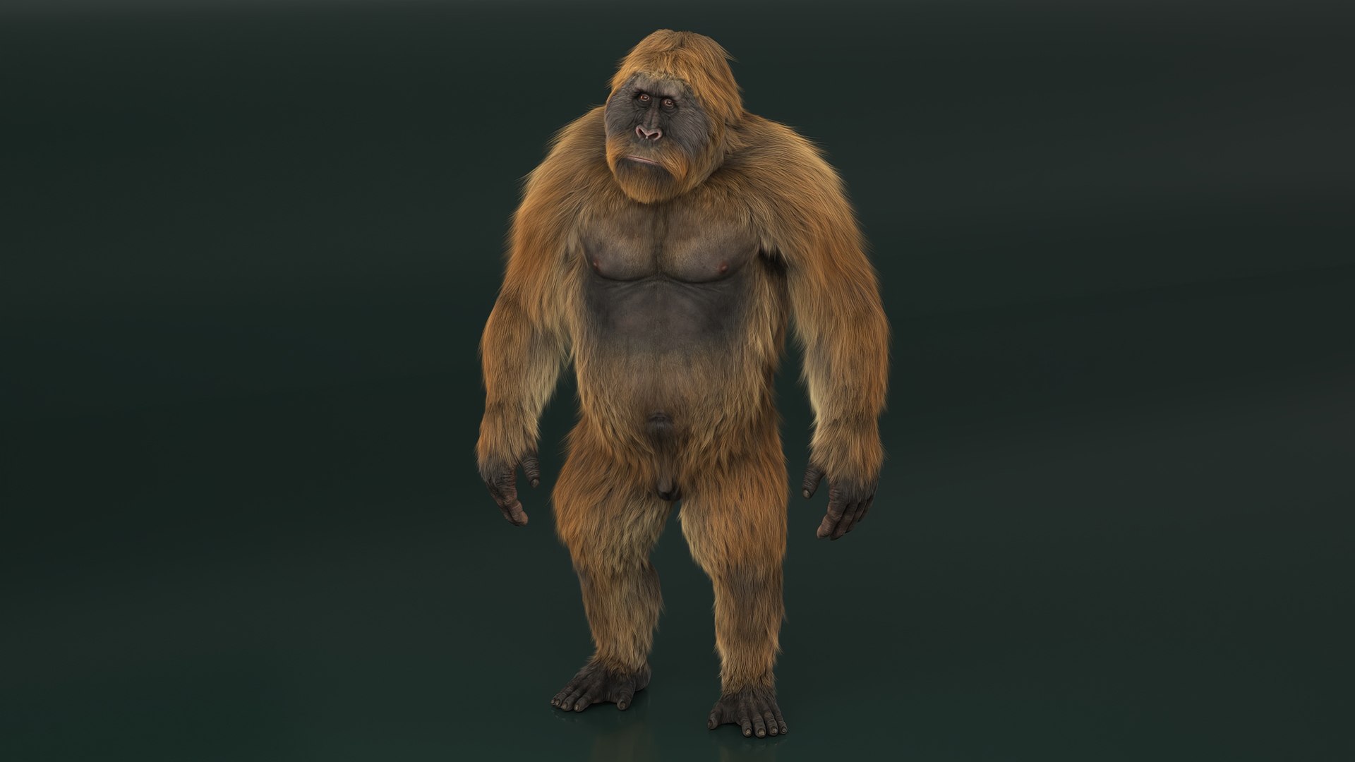 3D Gigantopithecus Fur Rigged Model - TurboSquid 2311874