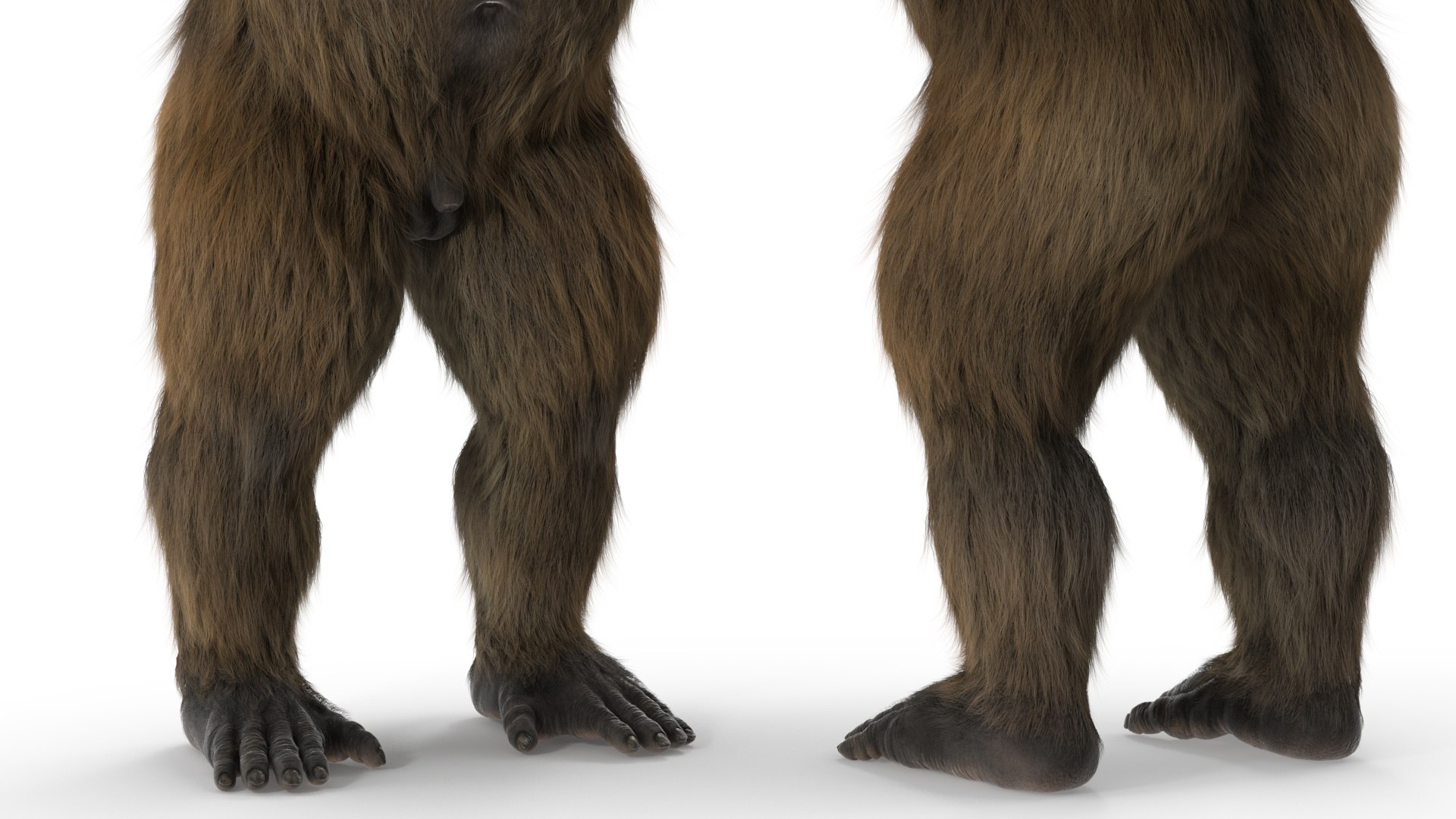 3D Gigantopithecus Fur Rigged Model - TurboSquid 2311874