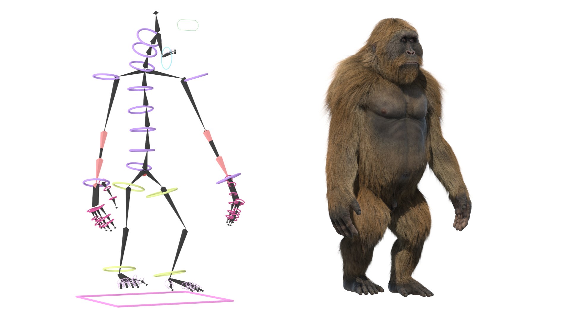 3D Gigantopithecus Fur Rigged Model - TurboSquid 2311874