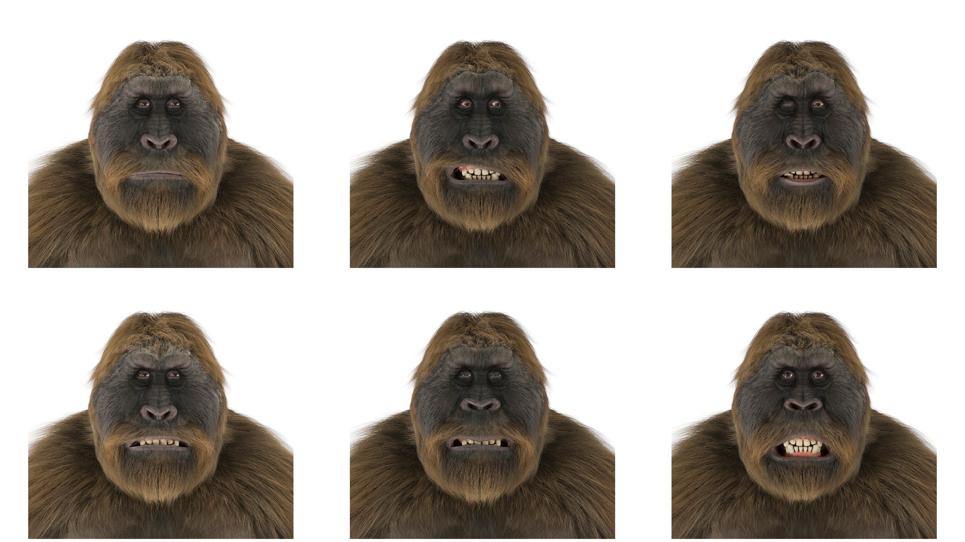 3D Gigantopithecus Fur Rigged Model - TurboSquid 2311874