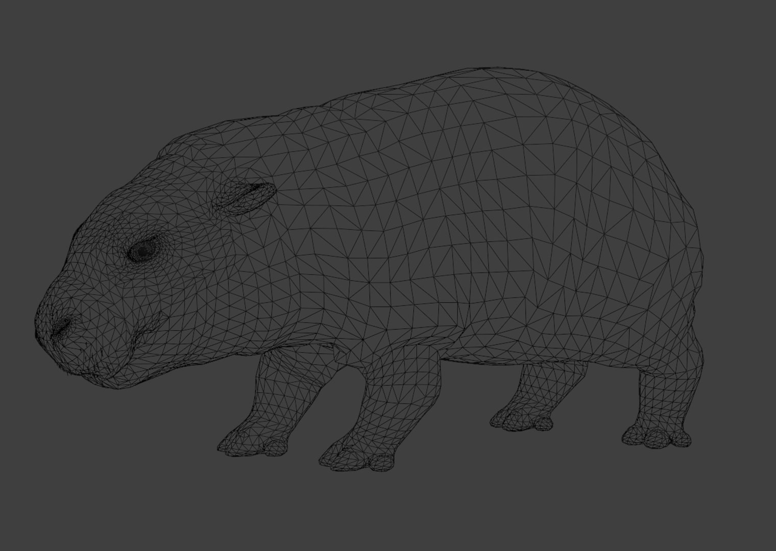 Baby Hippopotamus Rigged Animated Pygmy Common Hippo 3D - TurboSquid ...