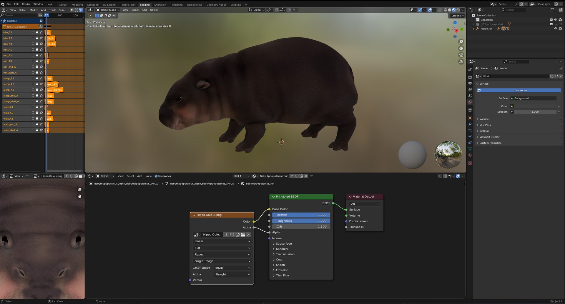 Baby Hippopotamus Rigged Animated Pygmy Common Hippo 3D - TurboSquid ...