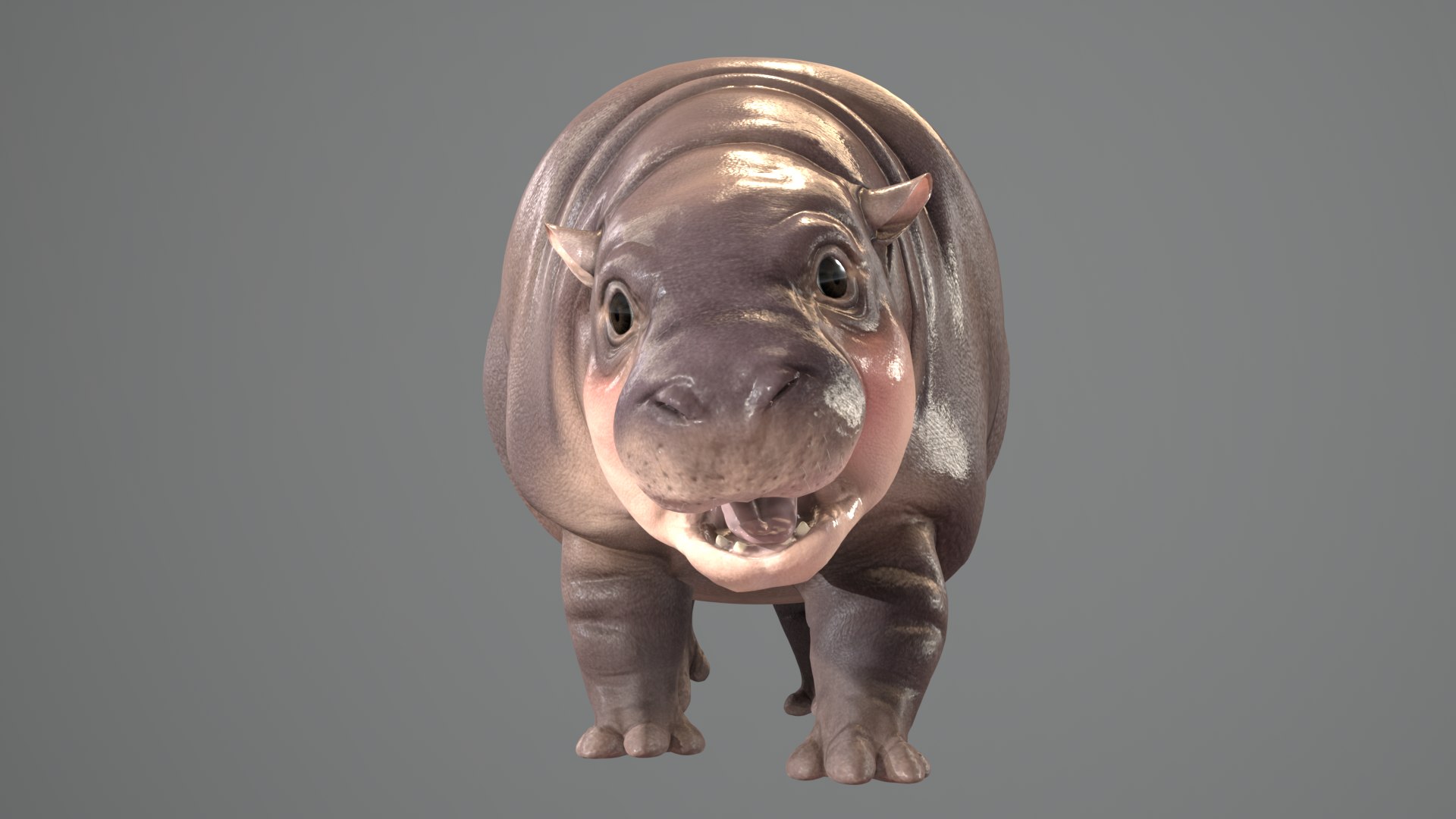 Baby Hippopotamus Rigged Animated Pygmy Common Hippo 3D - TurboSquid ...