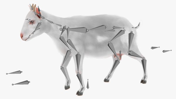 Modello 3D Pelliccia di capra da fattoria animata truccata per Blender ...