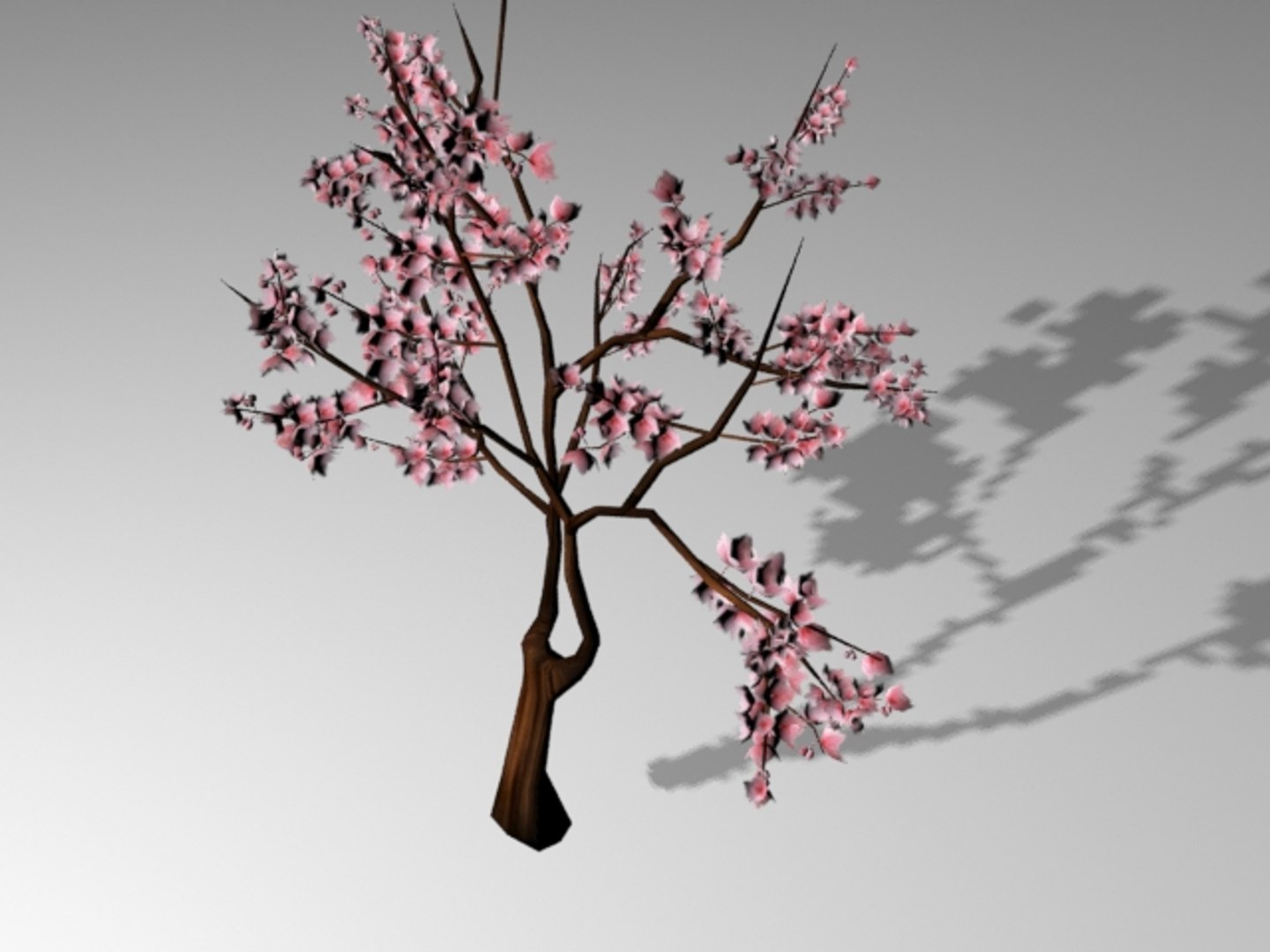 Sakura Tree 3d Max