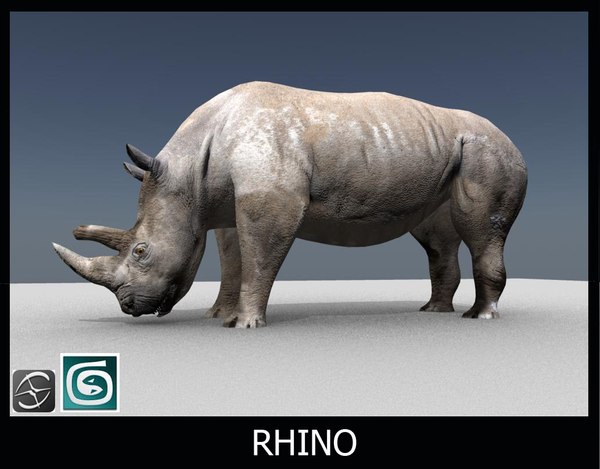 rhino 3d model