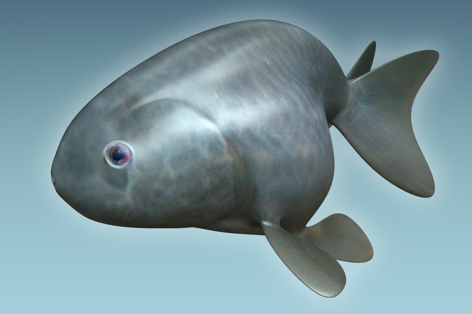 3D Rancu Fish - TurboSquid 1200761