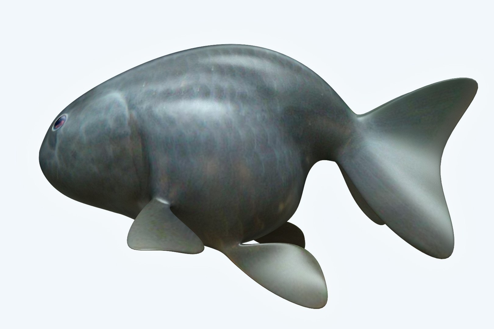 3D Rancu Fish - TurboSquid 1200761