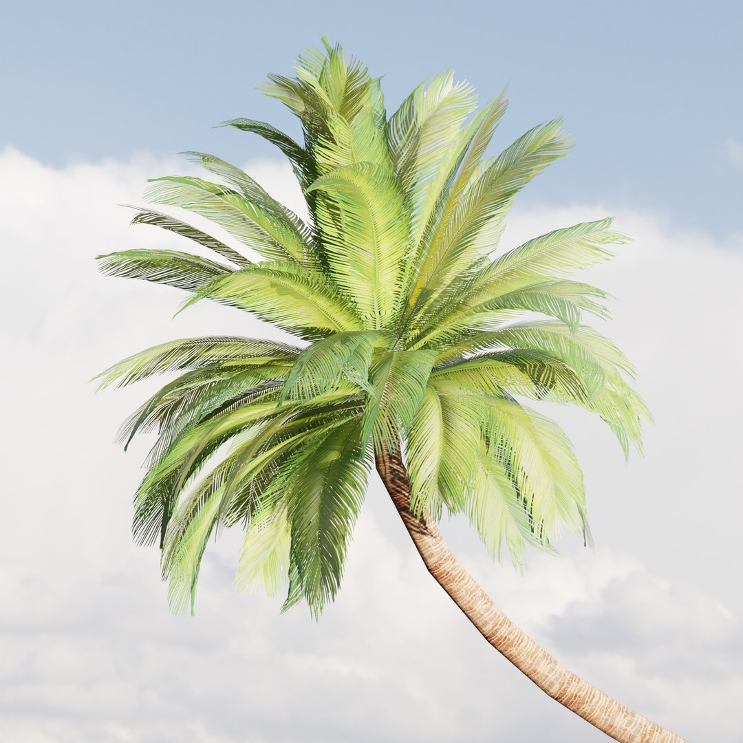 Low Poly Palm Trees Collection Vol 280-Blender-3dmodel Model ...