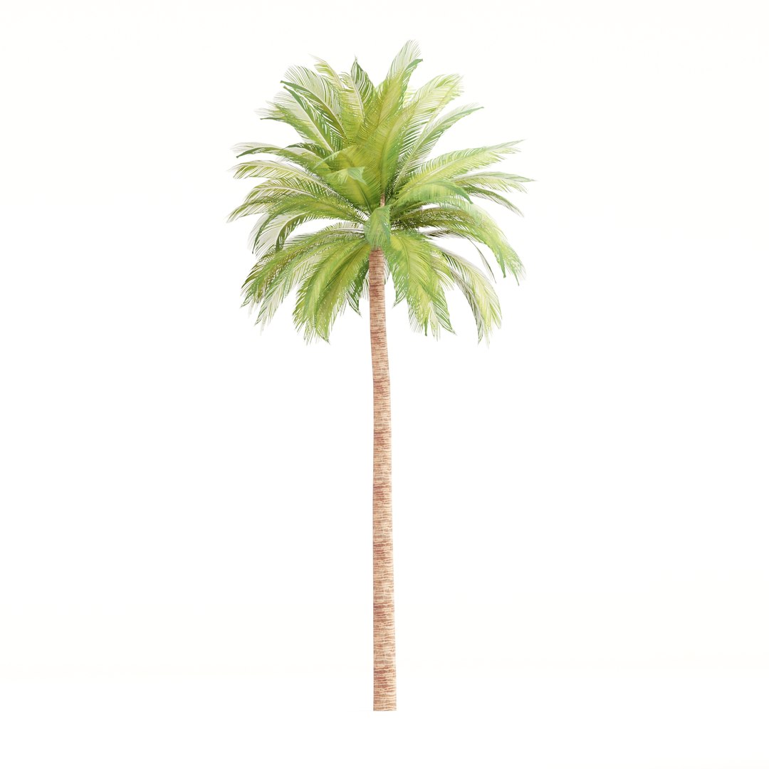Low Poly Palm Trees Collection Vol 280-Blender-3dmodel Model ...