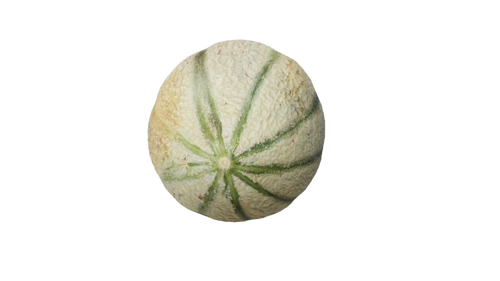 3D model melon - TurboSquid 2120629