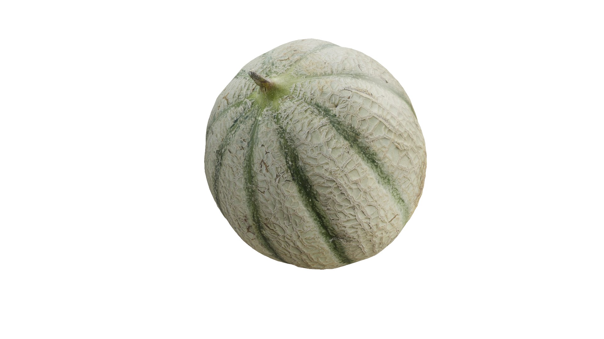 3D model melon - TurboSquid 2120629