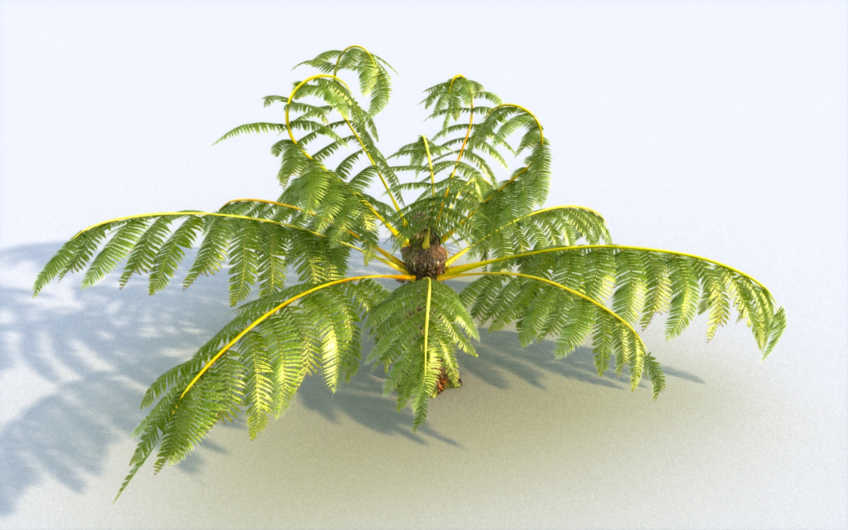 Fern Ecosystems Pack 3D - TurboSquid 1674639