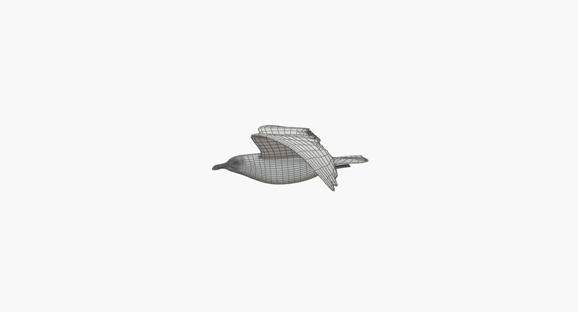 3d Seagull Flying Animation Model