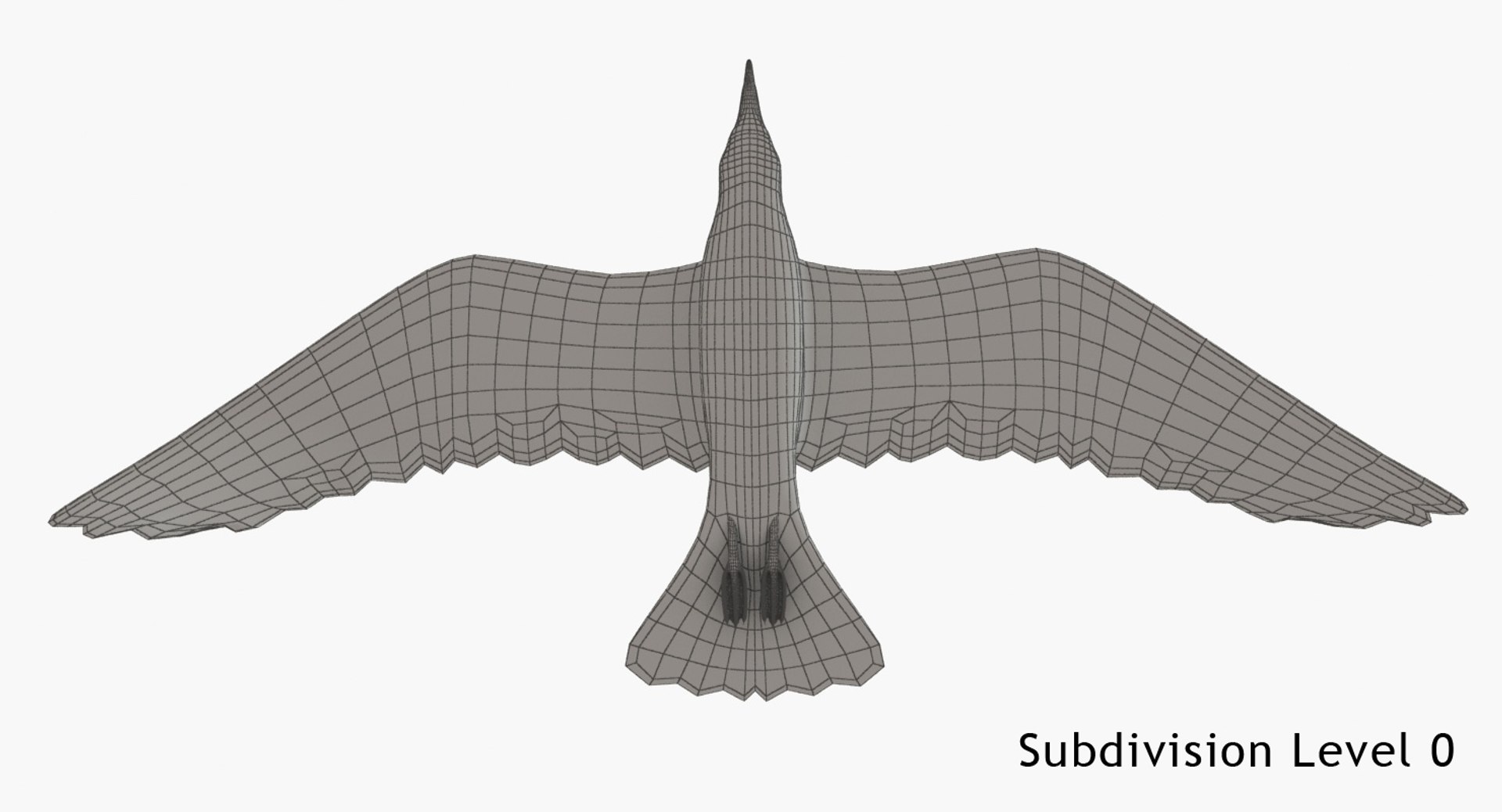 3d seagull flying animation model