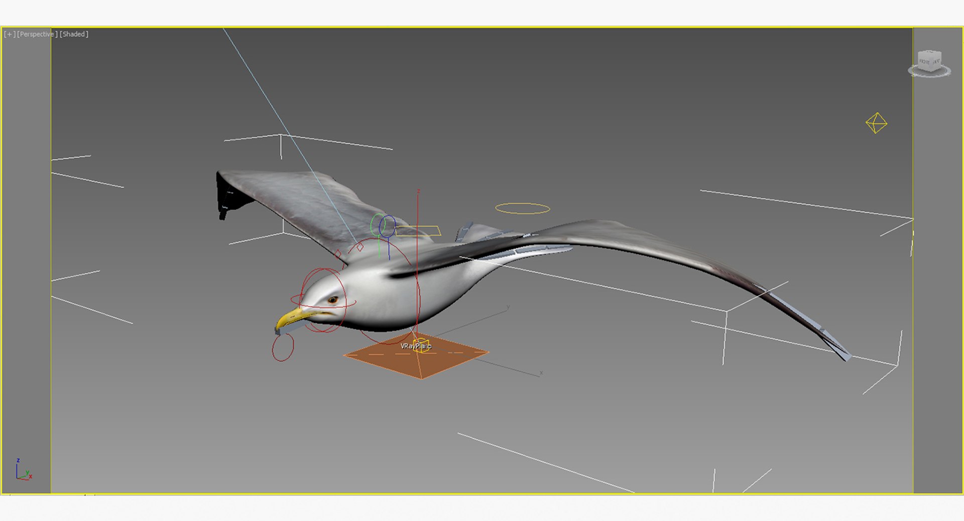 3d seagull flying animation model