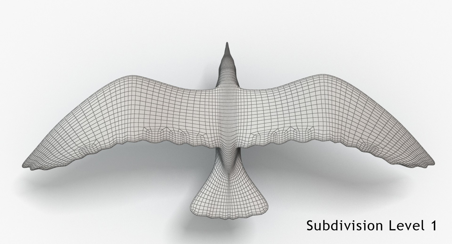 3d seagull flying animation model