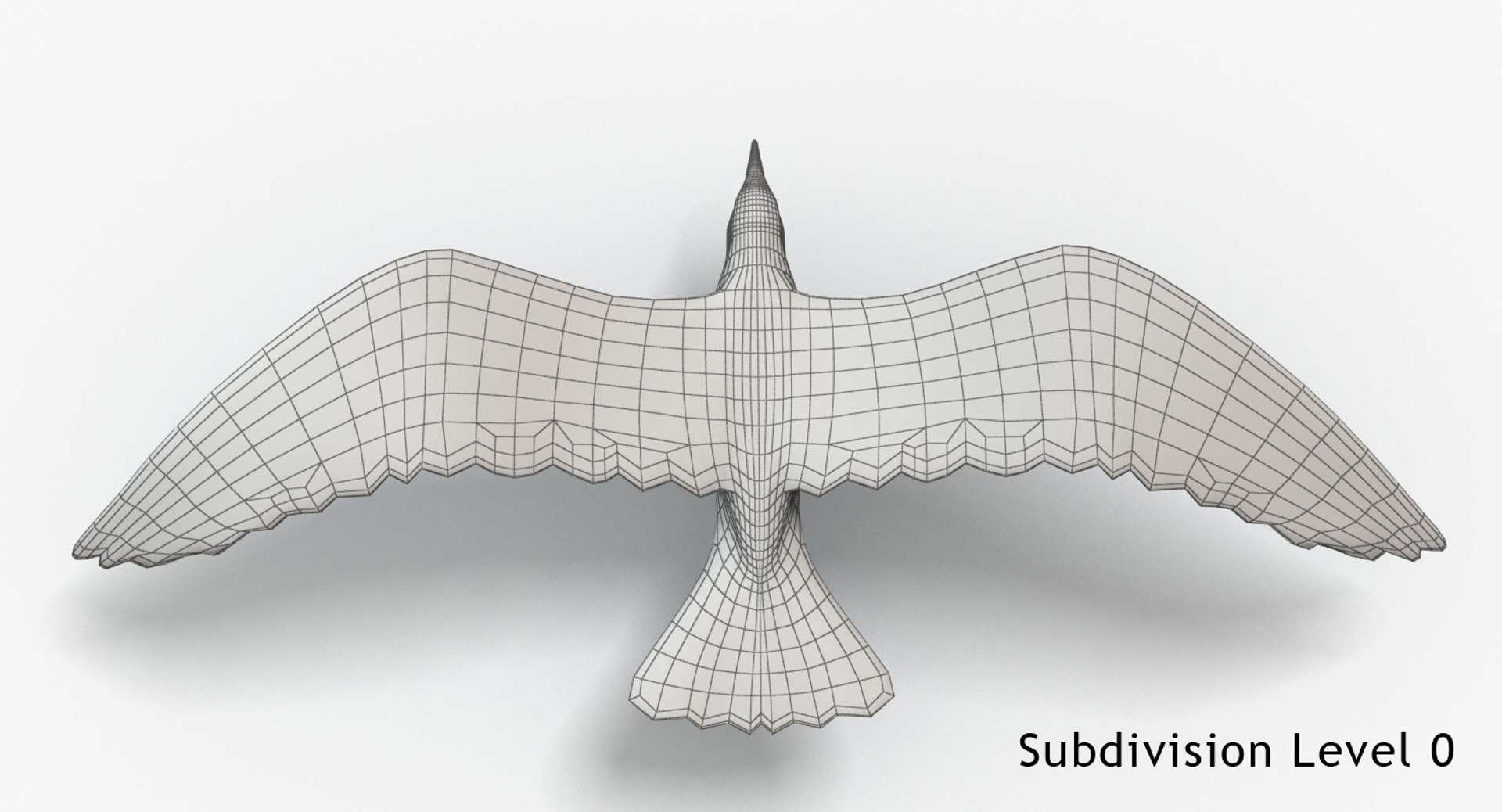 3d seagull flying animation model
