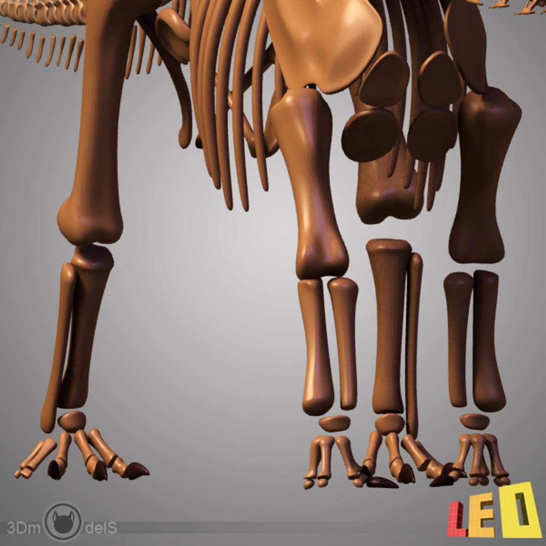 3ds max dino skeleton diplodocus separate