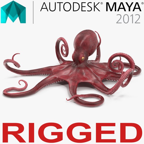 Octopus 3D Models for Download | TurboSquid