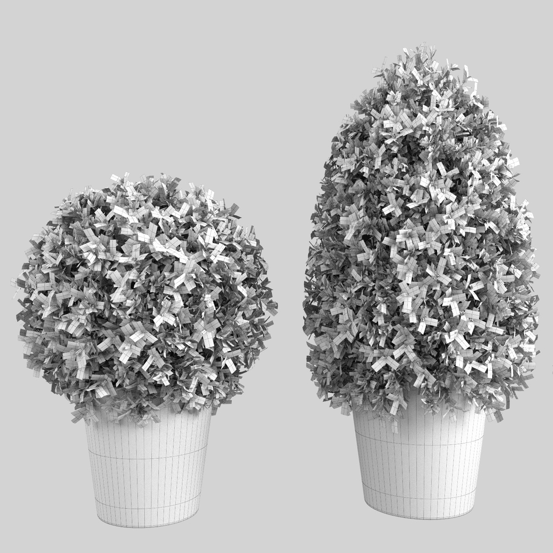 plants indoor outdoor 3d model