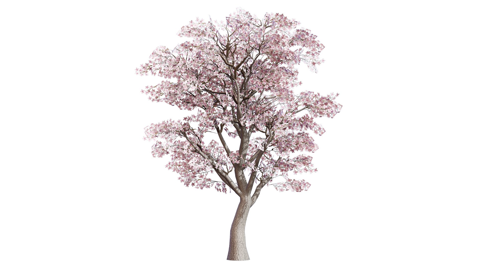 3D High-Quality Magnolia Tree 3D Assets Model - TurboSquid 2336319