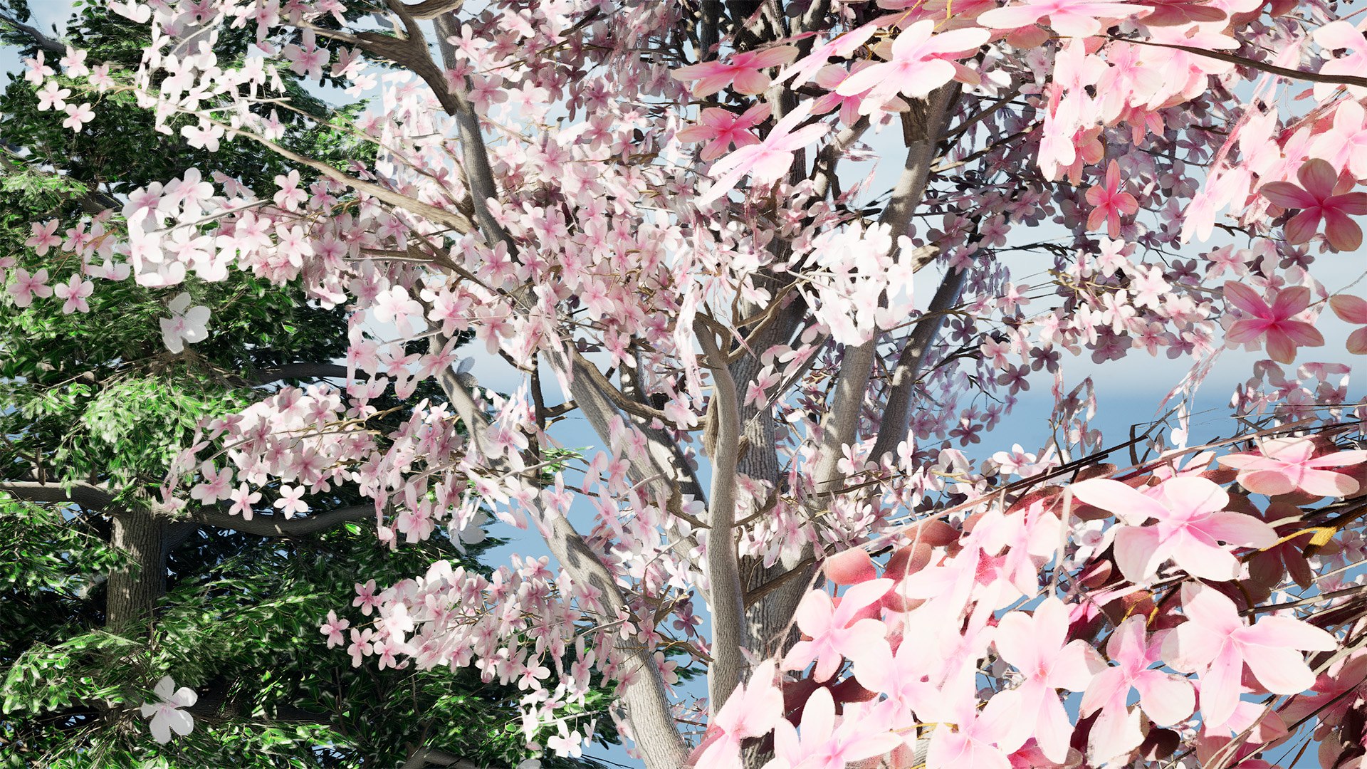 3D High-Quality Magnolia Tree 3D Assets Model - TurboSquid 2336319