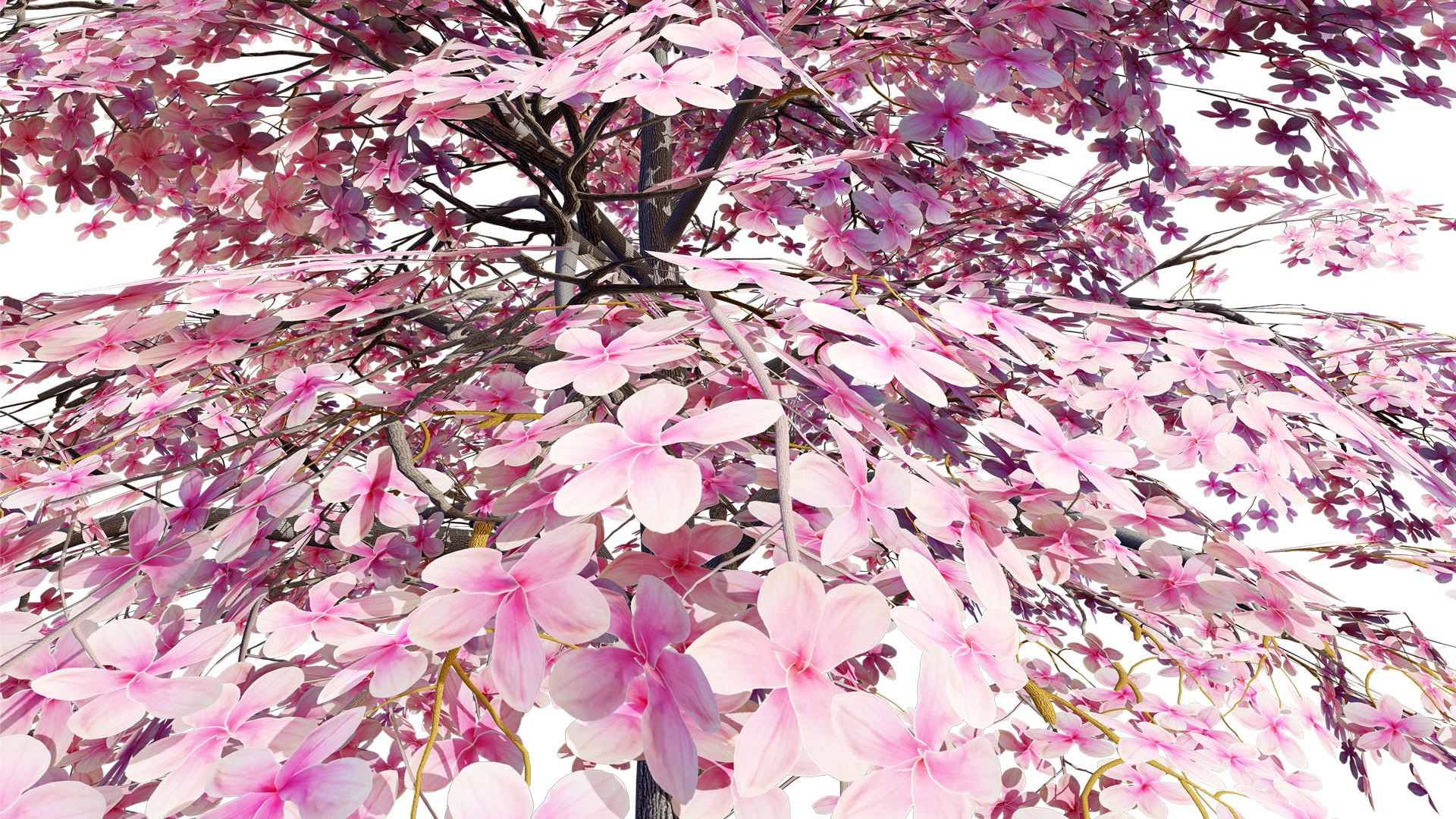3D High-Quality Magnolia Tree 3D Assets Model - TurboSquid 2336319