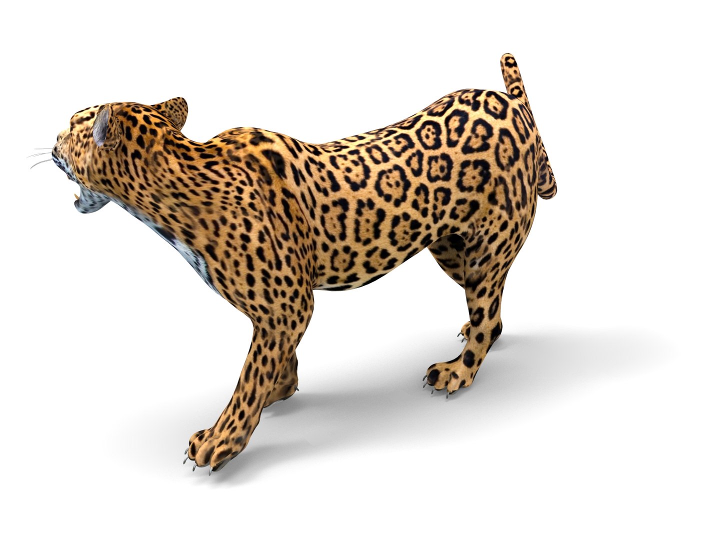 3D rigged blender - TurboSquid 1287014