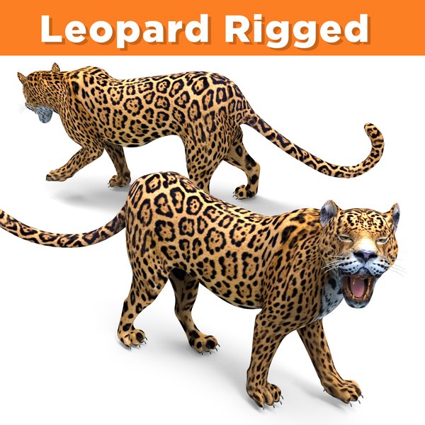 3D leopard ready - TurboSquid 1284438