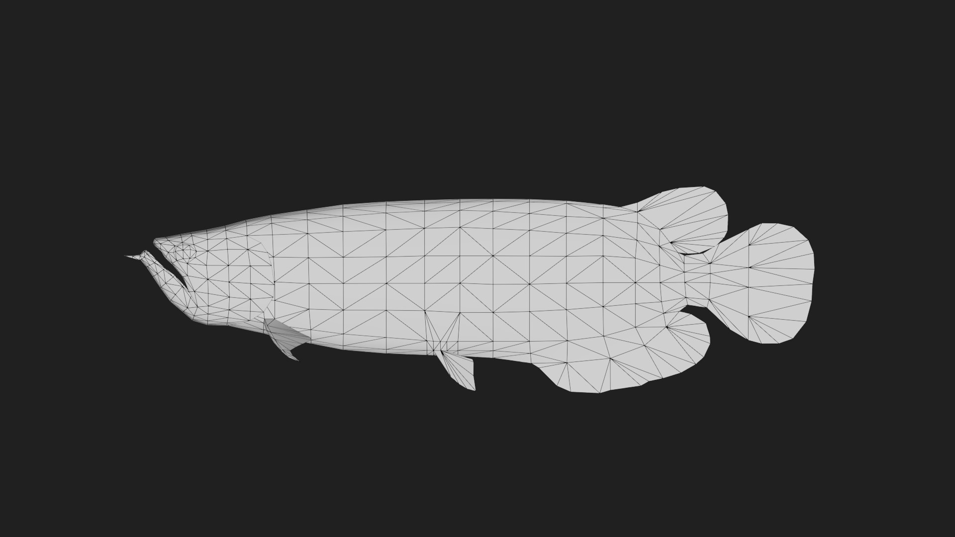 3D Arowana - TurboSquid 2123268