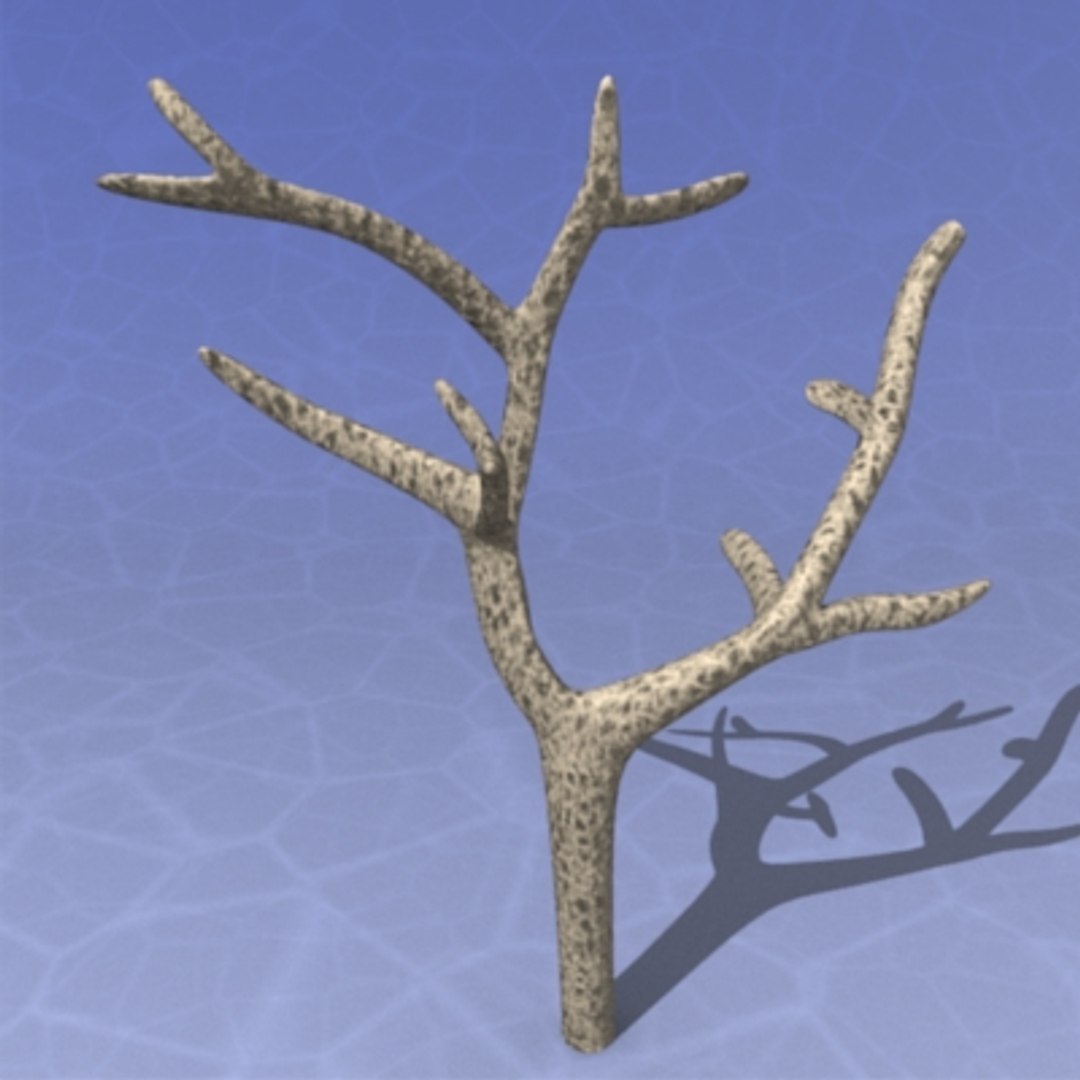 Coral 3d Model