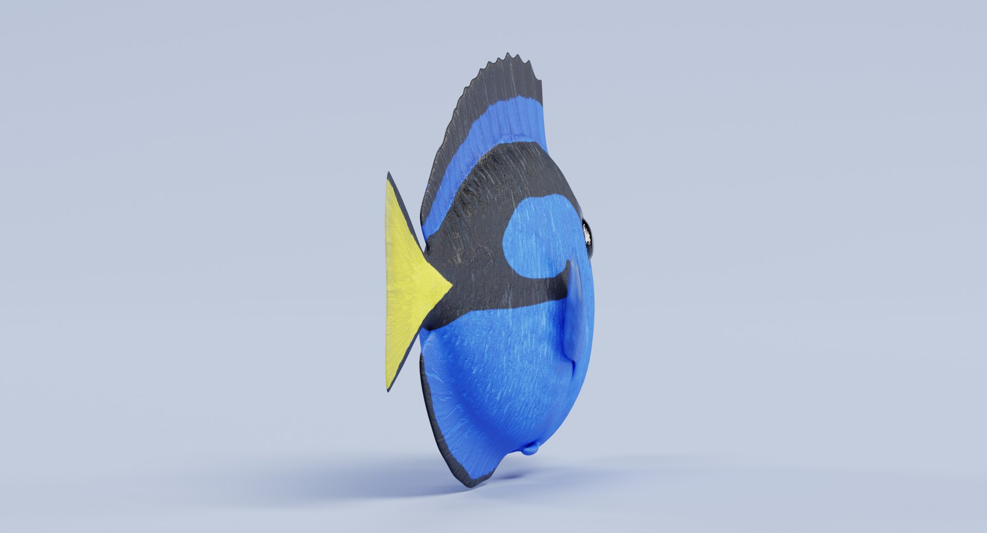 Blue Tang 3D Model - TurboSquid 1251116