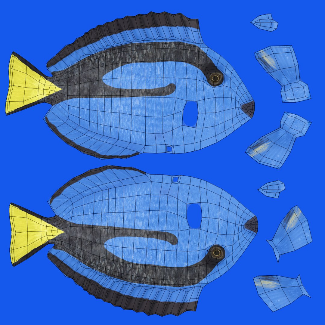 Blue Tang 3D Model - TurboSquid 1251116