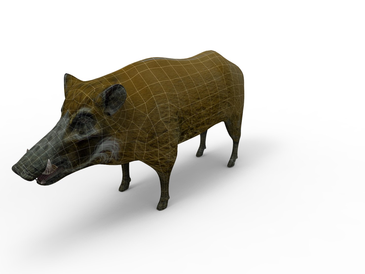 3D Wild Boar - TurboSquid 1239253
