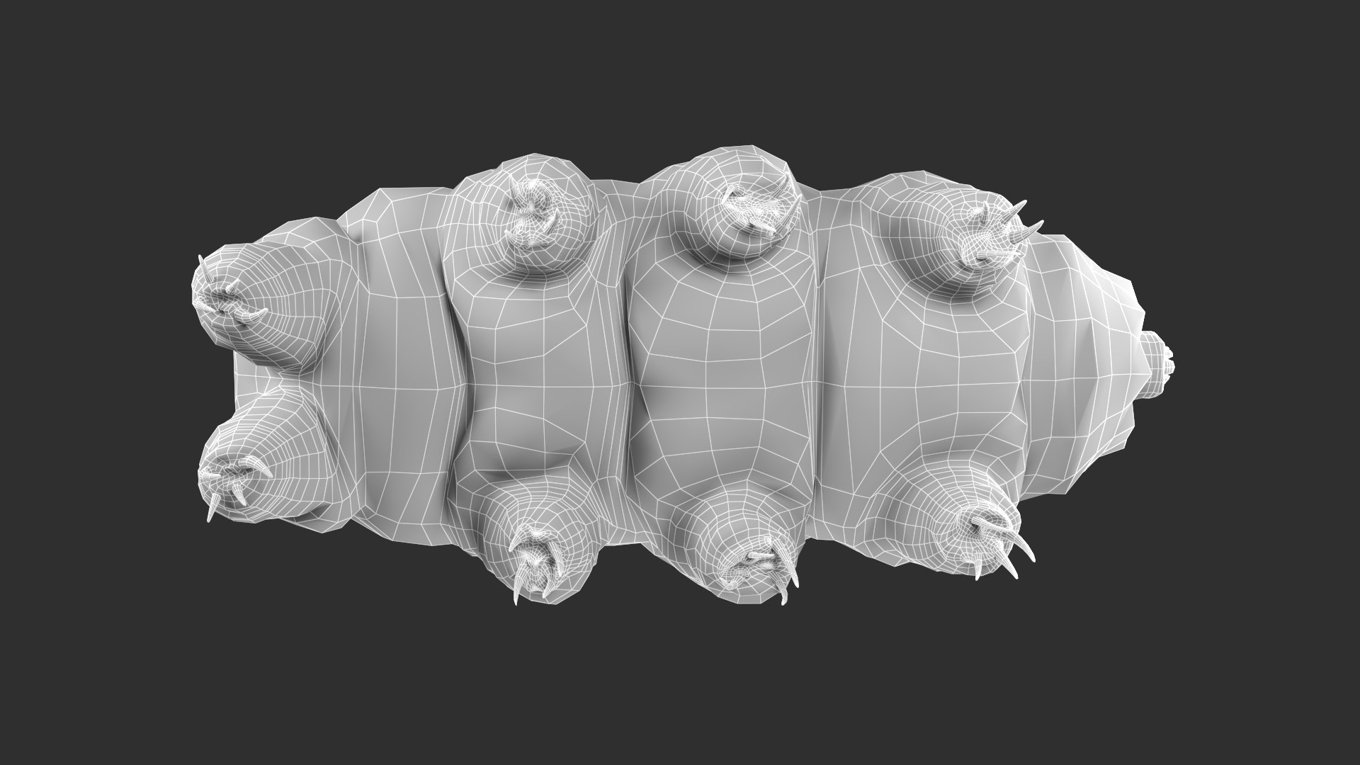 Tardigrade 3D Model - TurboSquid 2256834