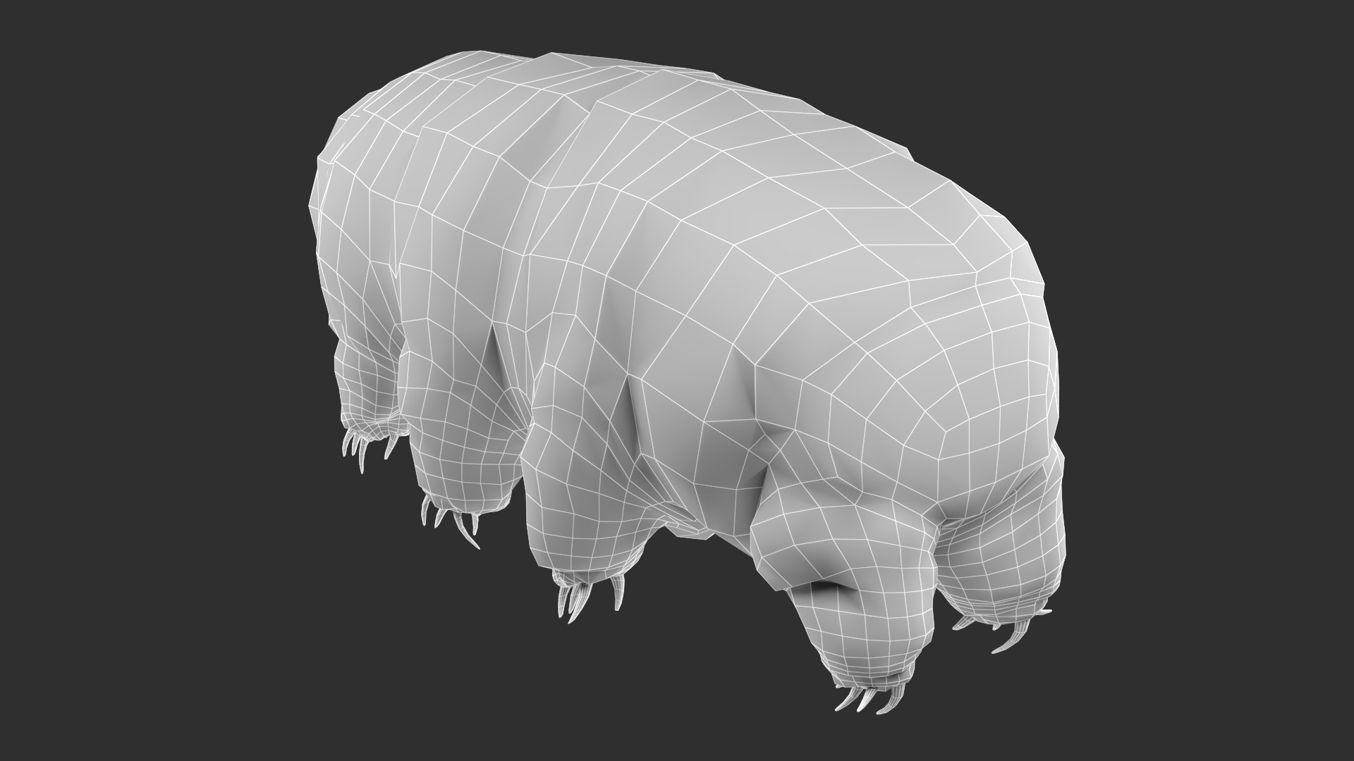 Tardigrade 3D Model - TurboSquid 2256834