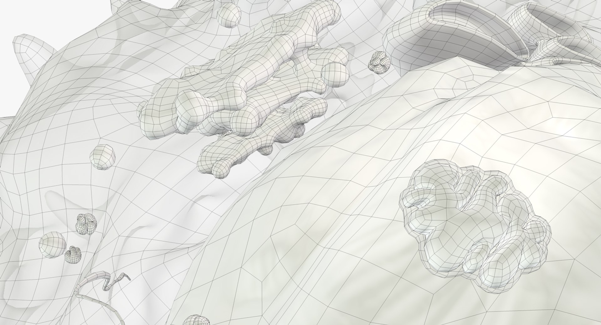 3D model lymphocyte t-cell b-cell - TurboSquid 1267406