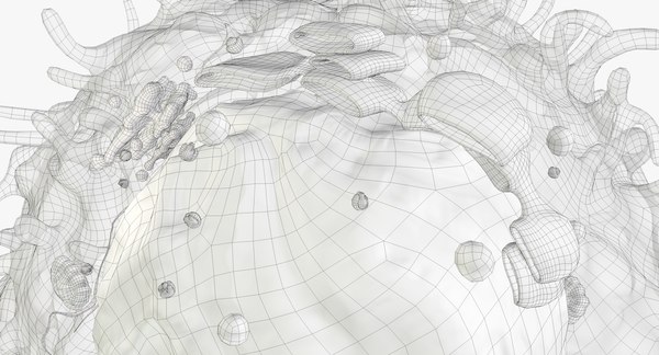 3D model lymphocyte t-cell b-cell - TurboSquid 1267406